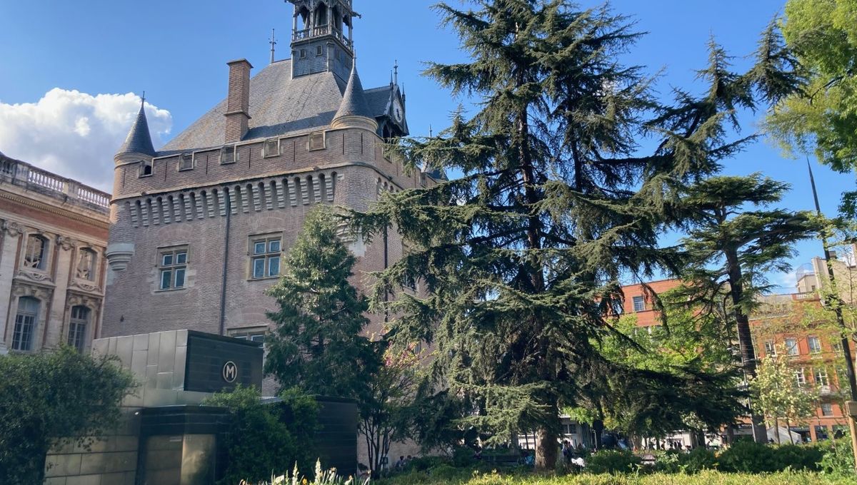 Encore un homme blessé à l'arme blanche en plein centre de Toulouse - Fdesouche